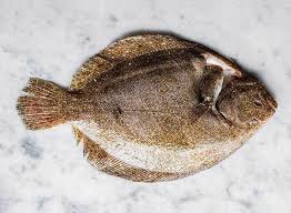 Brill - Whole 500g - 1kg - Cassandras Cup
